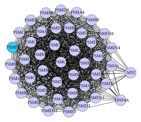 The Subnetworks Made Up Of Highly Connected Regions And Functions Of Download Scientific