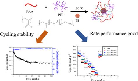Dual Cross Linked Polymer Networks Derived From The Hyperbranched Polyethyleneimine And Poly