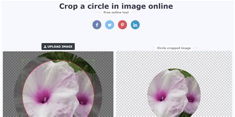 Top 10 Tools To Crop An Image Into A Circle Review 2024