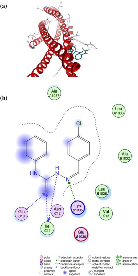 Results Of Docking Procedure A Predicted Orientations Of The Lowest