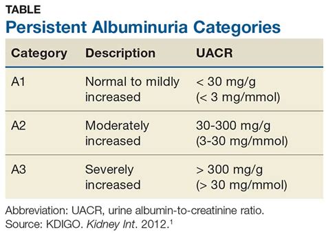 Albuminuria Causes Symptoms Treatment Albuminuria