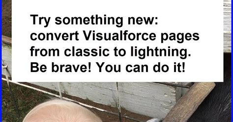 Classic To Lightning Salesforce Conversion Step 2 Visualforce