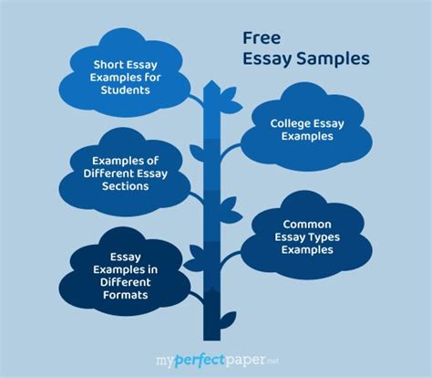 18 Essay Examples To Help You Write The Perfect Essay