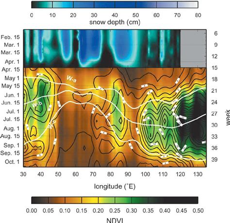 Time Longitude Cross Section Of The Ndvi Color Scale And Download Scientific Diagram