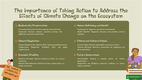 De Effecten Van Klimaatverandering Op Het Ecosysteem Begrijpen Sigma Earth