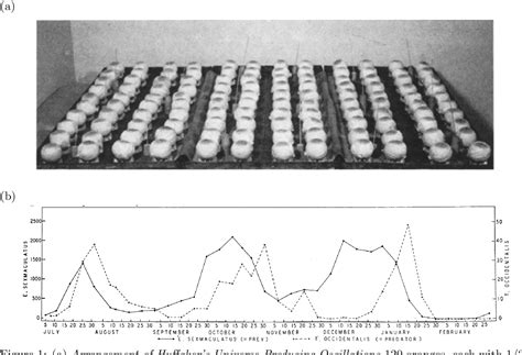 Figure 1 From Predator Prey Oscillations In A Cellular Automaton Of Huffakers Mite Experiment