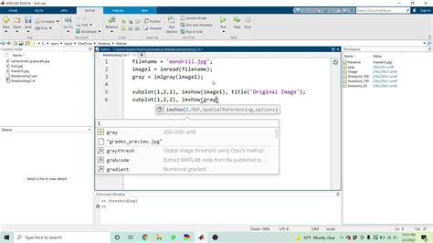 Rgb Image To Grayscale Conversion Using Matlab Youtube
