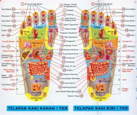 Titik Refleksi pada Kaki