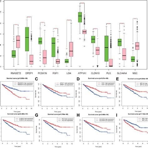 Construction Of A Prognostic Risk Assessment Model Based On 10