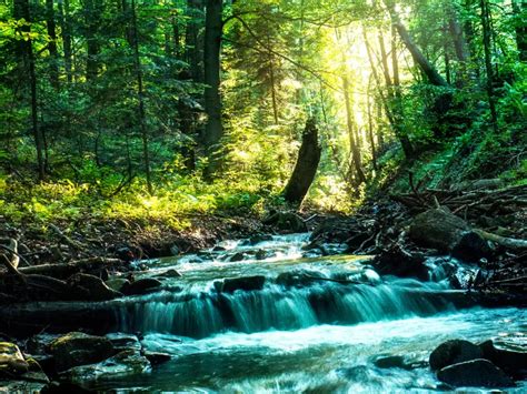 How To Use I Statements Effective Communication Skills Guide With I Statements Examples