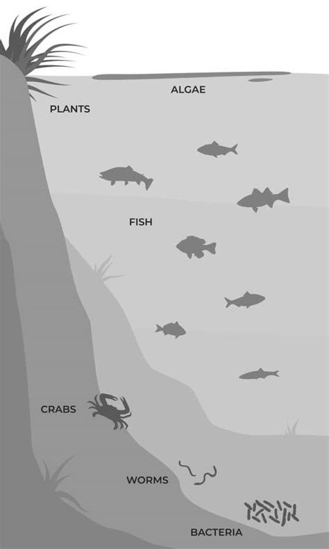 3 3 Dissolved Oxygen Nexsens