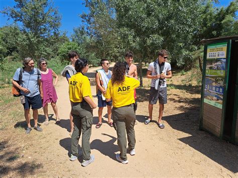 Lespai Natural De Castell Disposa Un Estiu Més Dun Punt Dinformació