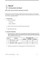 Cell Respiration LR Doc BioLab3 Cell Respiration Lab Report Name Date Course And Section