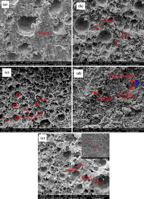 Sem Micrographs Of Fractured Surface Of Sn 58bi Cu Solder Joints