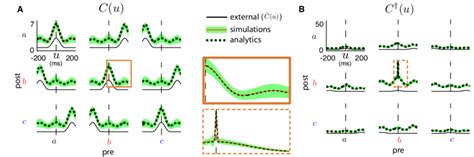 Correlation Functions Averaged Over All Pairs Of Connected Cells In