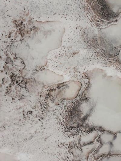 Сорт домати от бананов крак характеристики описание характеристики на отглеждането на домати