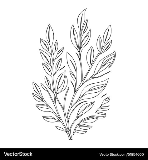 Parallel Leaf Floral Outline Sketch Royalty Free Vector