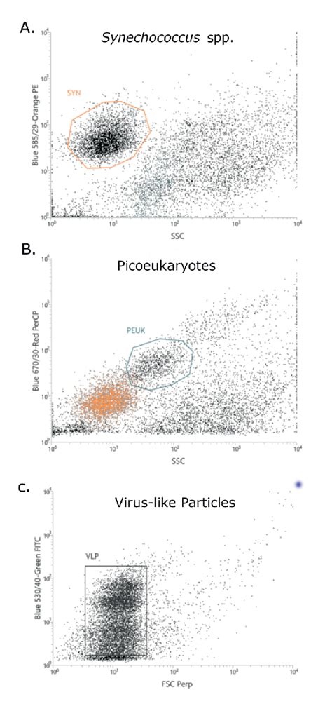 Representative Cytograms Of Synechococcus Spp A And Picoeukaryotes Download Scientific