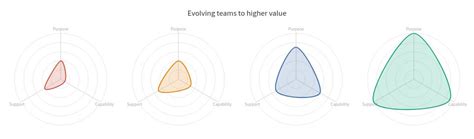 Agile Team Effectiveness Flourish