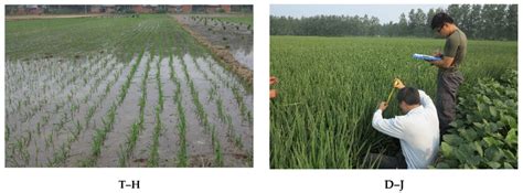 The Field Synchronization Experiment Photos Download Scientific Diagram