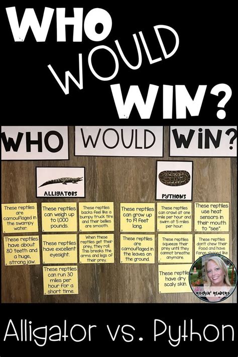 Who Would Win Alligator Vs Python Opinion Writing