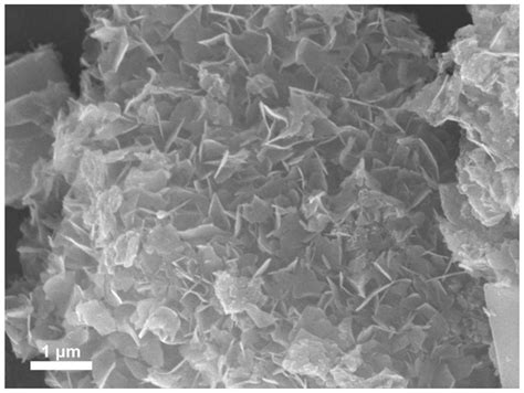 Carbon Based Electrocatalyst And Preparation Method Thereof Eureka