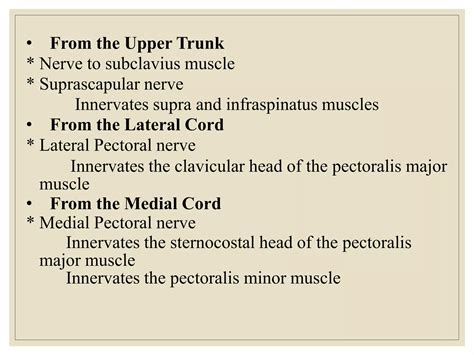 Brachial Plexus Block Ppt