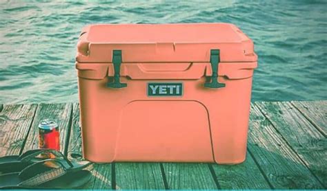 Top 9 Best Boat Cooler 2024 Review My Trail Co