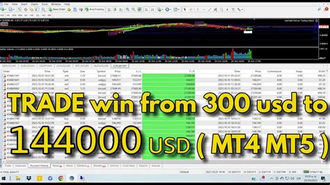 Robot Scalping Heimdall Of Forex And Cryptos Win From Usd To Usd MT MT YouTube