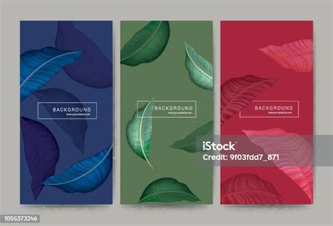 포장 열 대 식물 잎 여름 패턴 배경 스파 리조트 럭셔리 호텔 로고 배너 바우처 직물 패턴 유기에 대 한 브랜딩 벡터 일러스트 레이 션 0명에 대한 스톡 벡터 아트 및 기타