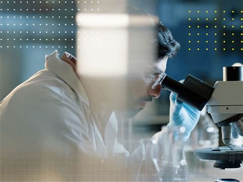 New Report Finds Strong Potential For Greater Victoria To Become A Life