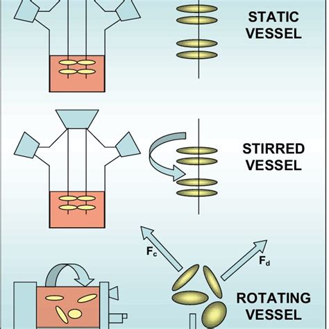 Experimental Appraoches To Bioreactor Tissue Engineering Download Scientific Diagram