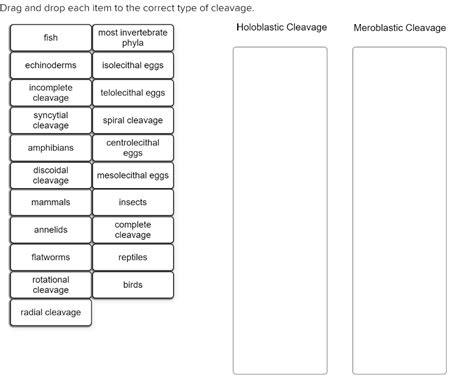 Solved Drag And Drop Each Item To The Correct Type Of