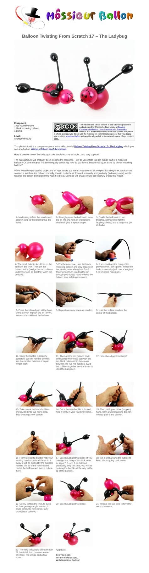 PDF Guide Balloon Twisting From Scratch The Ladybug Balloon Twisting Instructions
