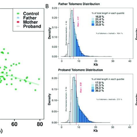 Quantification Of Telomere Length In Interphase Lymphocytes Of The