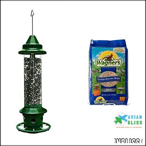 Squirrel Proof Bird House Tips Keep Intruders Away