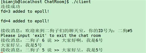 纯C语言Socket实现聊天室 阿里云开发者社区