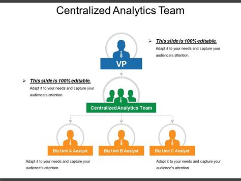 Centralized Analytics Team Ppt Presentation Examples Powerpoint Slide