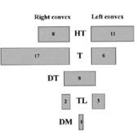 Convexity Of High Thoracic Curve According To Side Of Incision In High Download Scientific