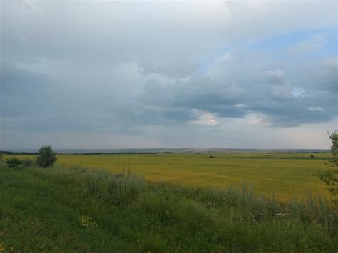 Где то в Ростовской области Пикабу