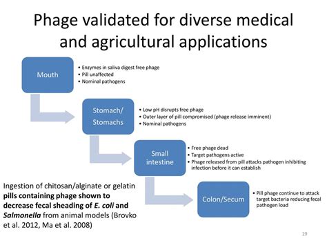 Applications Of Bacteriophage In A Multi Drug Resistant World Ppt