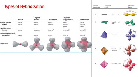 Hybridization Principles Of Organic Compounds Pptx