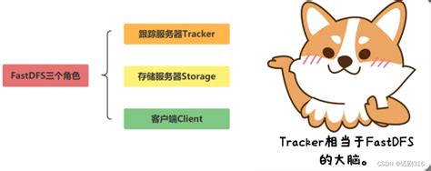 fastdfs新手快速入门（30个命令快速入门） csdn博客