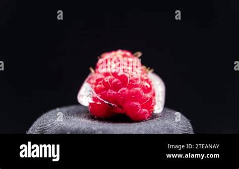 Timelapse Raspberry Freezes In A Piece Of Ice Fruits Freeze From Cold Temperature Frost The