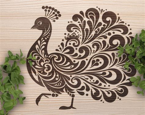 Peacock Svg Peacock Vector Design For Cutting Machines Peacock Pdf