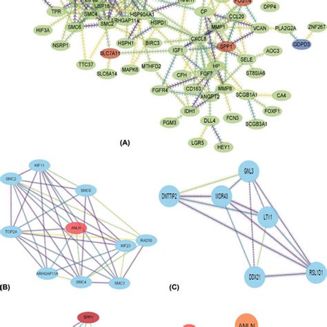 Heatmap And Volcano Plot Of Degs A Heatmap Of 150 Degs Screened By Download Scientific