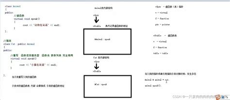 深入理解c多态:静态与动态、虚函数与抽象类 Csdn博客 深入理解c多态:静态与动态、虚函数与抽象类 Csdn博客