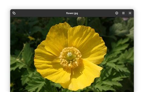 Gnome Photos Alternatives Top 6 Image Viewers And Similar Apps Alternativeto