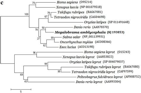 Ijms Special Issue Fish Molecular Biology