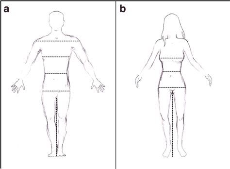 Male A And Female B Outlines Drawn By The Same Participant The Download Scientific